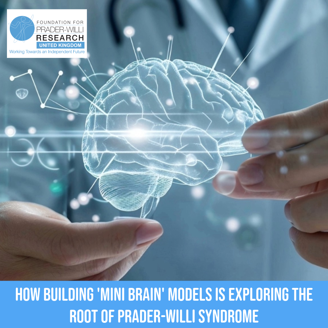 Building a Brain in a Dish: How Scientists Are Exploring the Root of ...